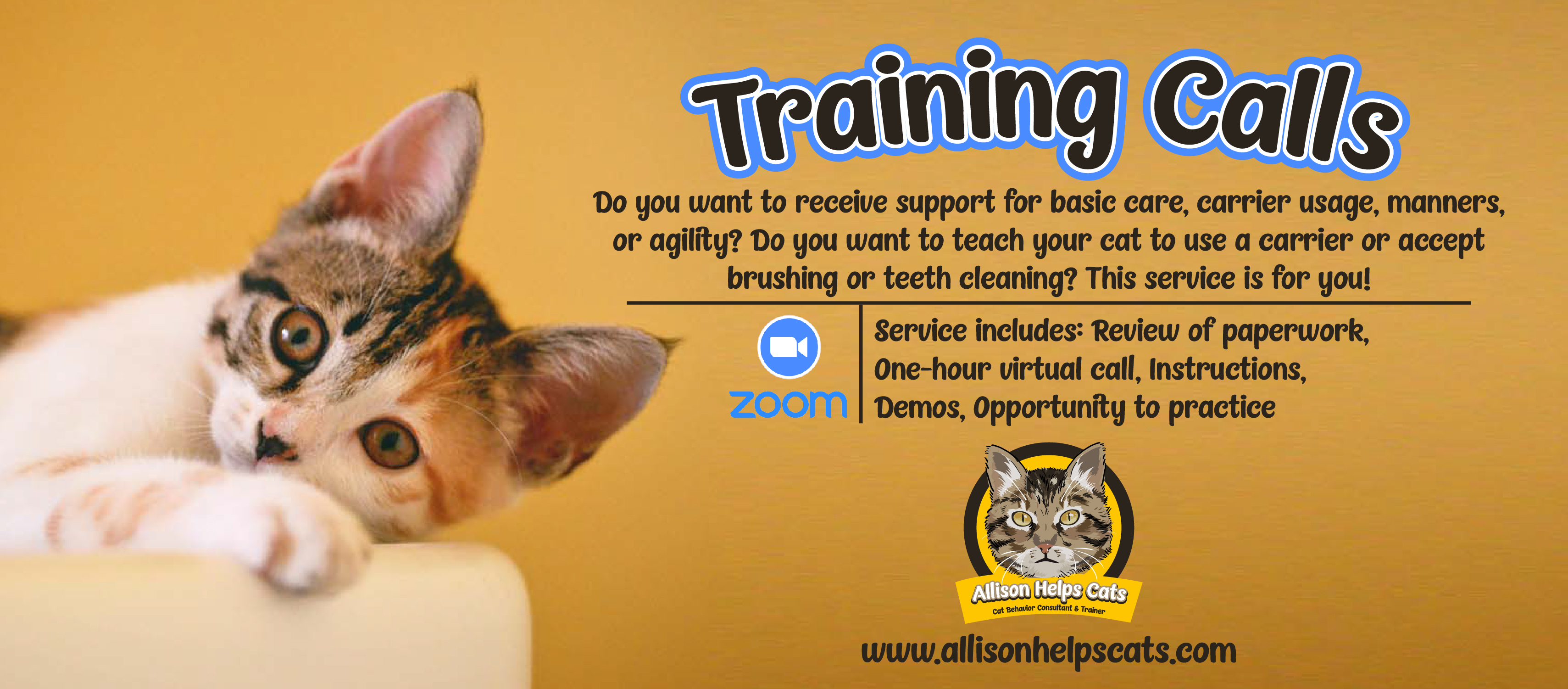 Training Calls – Allison Helps Cats: Certified Cat Behavior Consultant ...