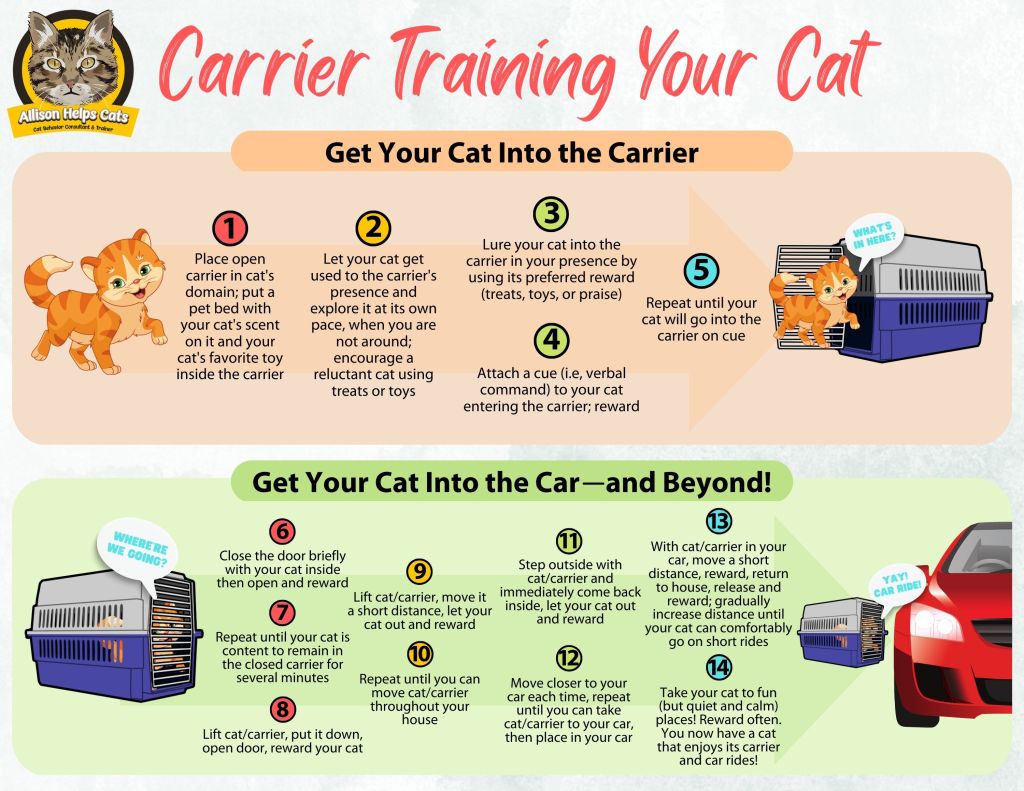 Resources: Infographics – Allison Helps Cats: Certified Cat Behavior ...