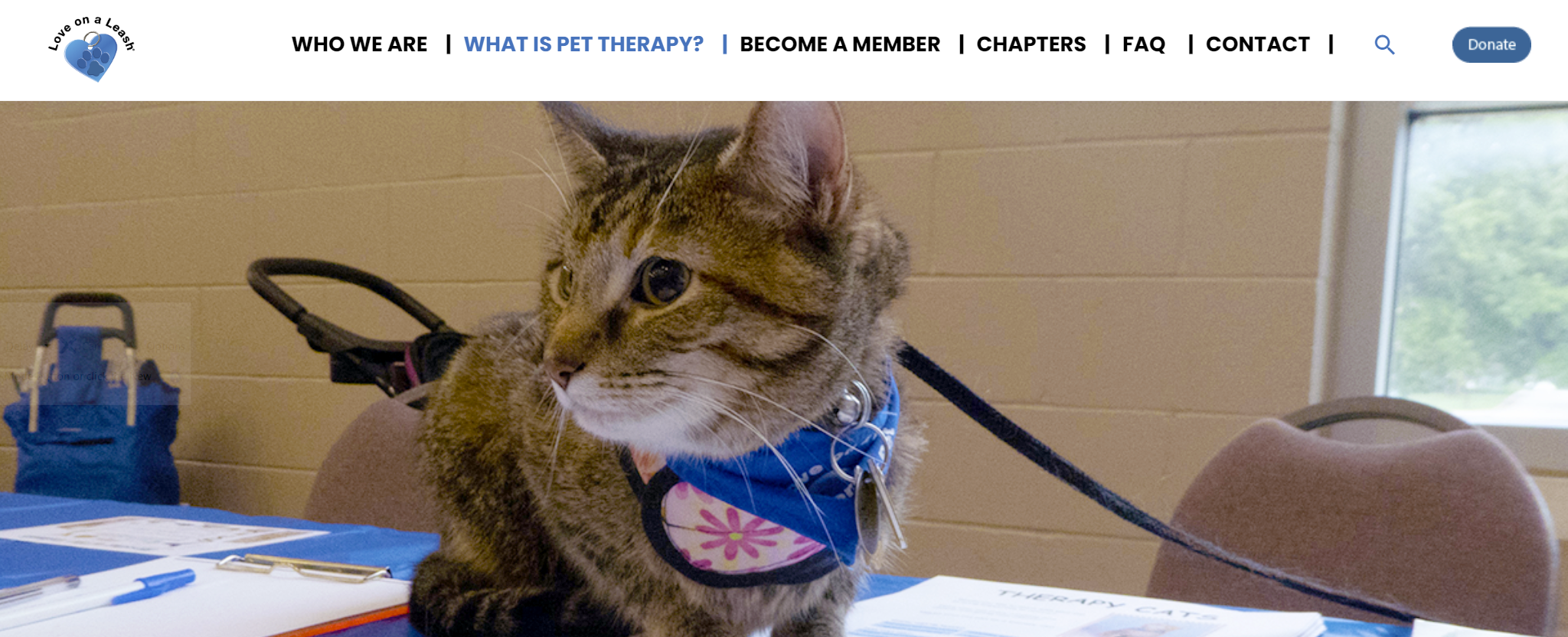 Resources – Allison Helps Cats: Certified Cat Behavior Consultant & Trainer