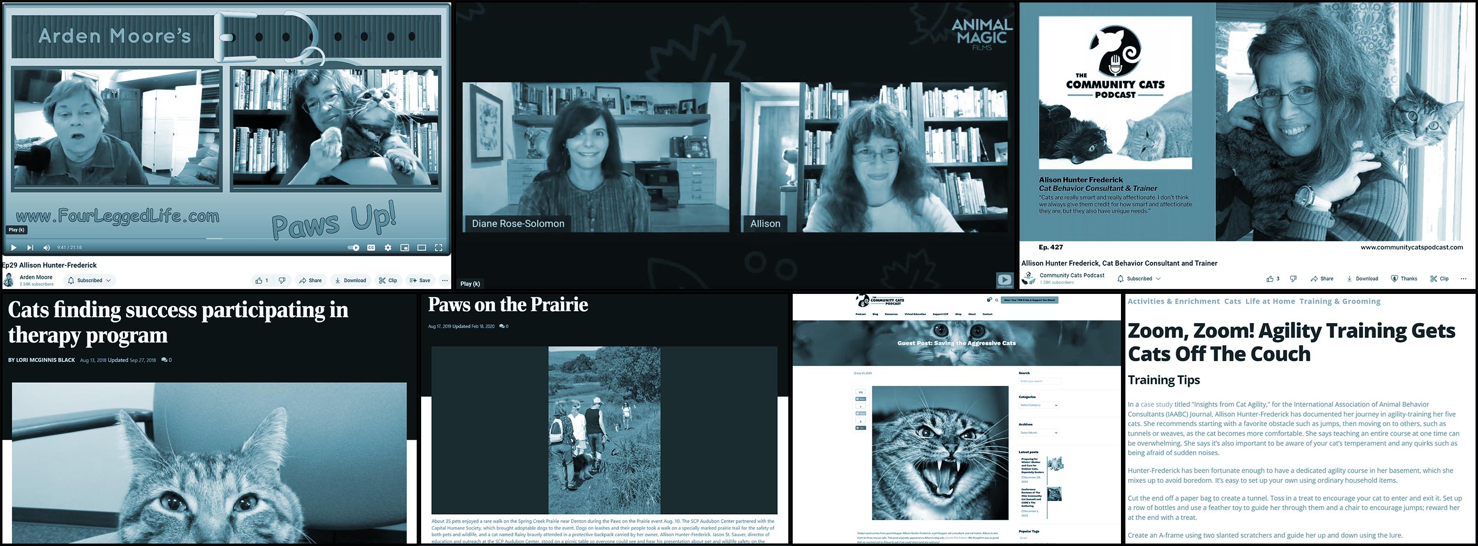 Recognitions – Allison Helps Cats: Certified Cat Behavior Consultant ...