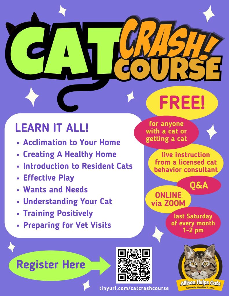 Current Classes – Allison Helps Cats: Certified Cat Behavior Consultant ...